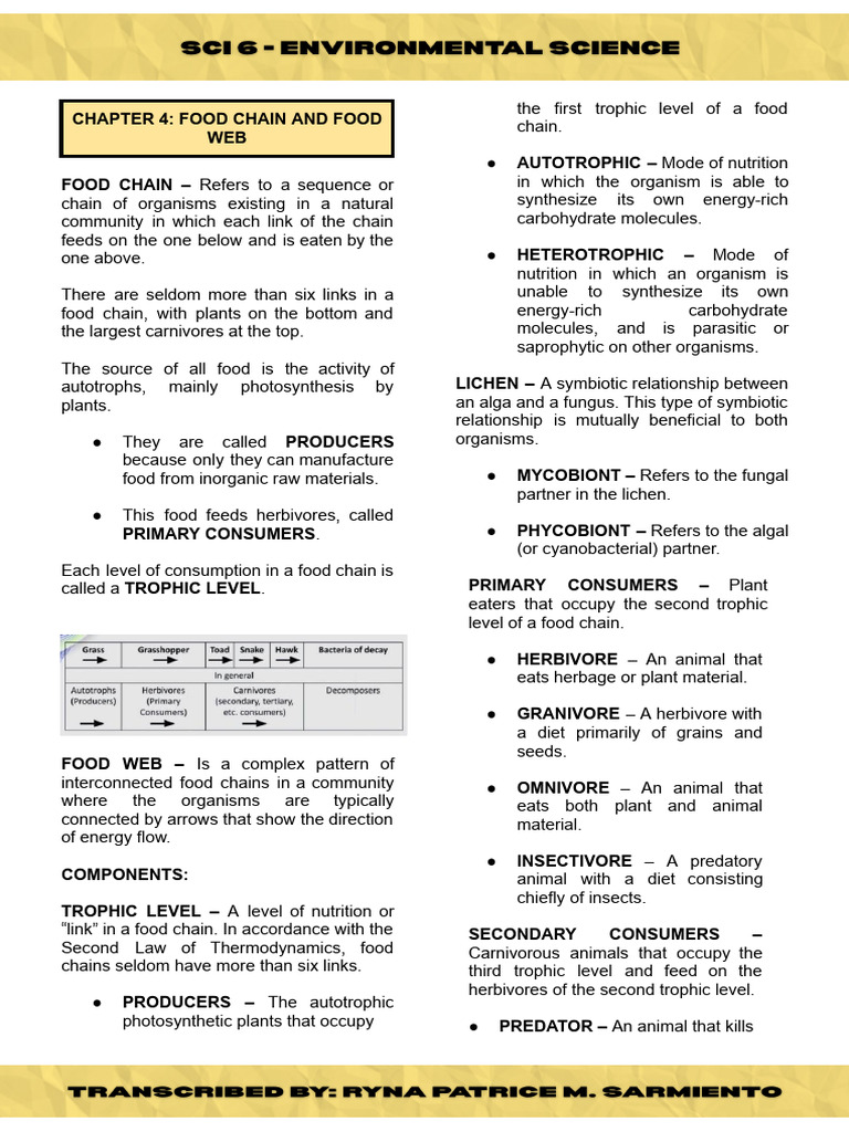 [Ss] Sci 6 - Quiz Reviewer Chapter 4 to 6 | PDF | Carbon Dioxide | Food Web