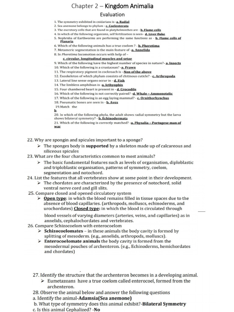 Nematoda Phylum Features Concept Map | PDF
