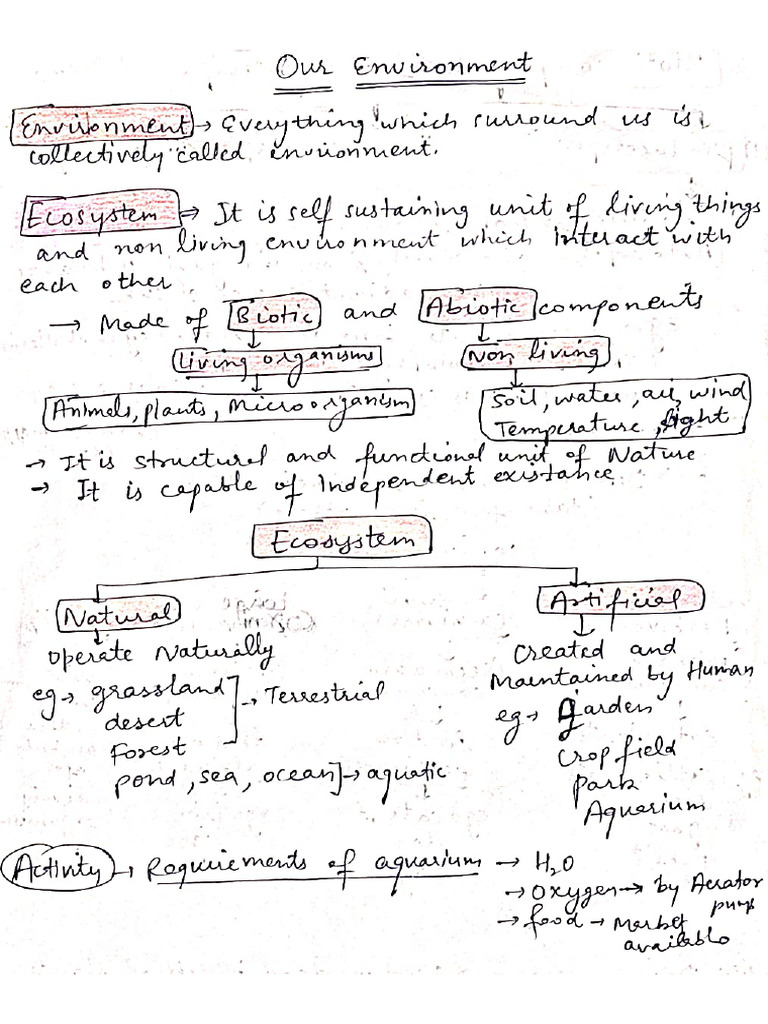 Our Environment Notes | PDF