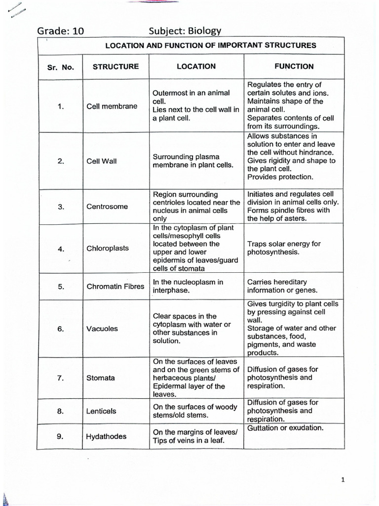 Biology Location and Functions of Important Structures (5) | PDF