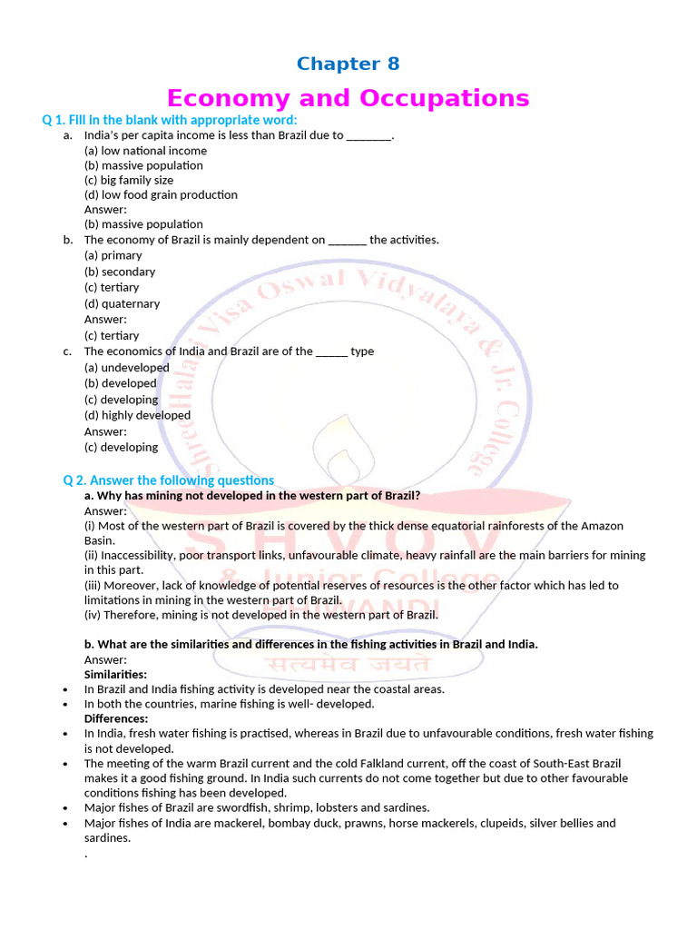 CH 8 Economy and Occupations | PDF | Brazil | Economies