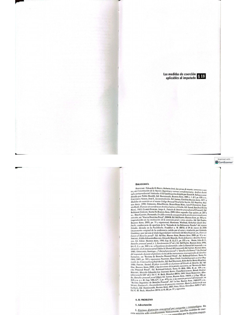 Medidas de Coerción | PDF