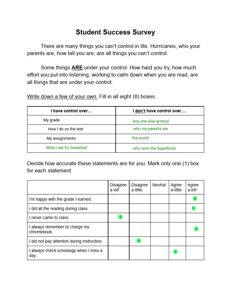 History Success Survey | PDF