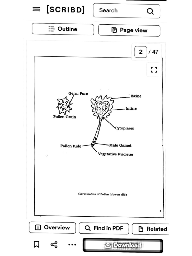 Biology Practical File Lab Manual Class 12 | PDF