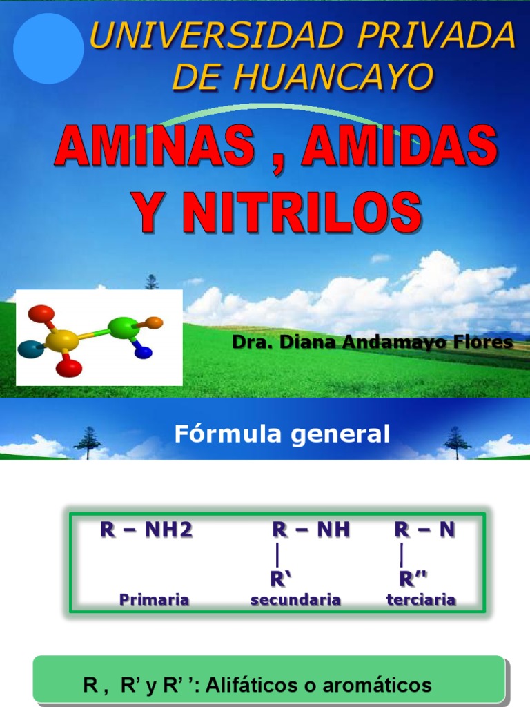 Amidas Aminas y Nitrilos | PDF | Amina | Amida