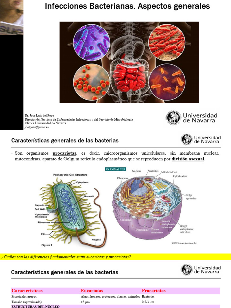 2024-25 Basic Bacterias | PDF | Las bacterias | Citoplasma