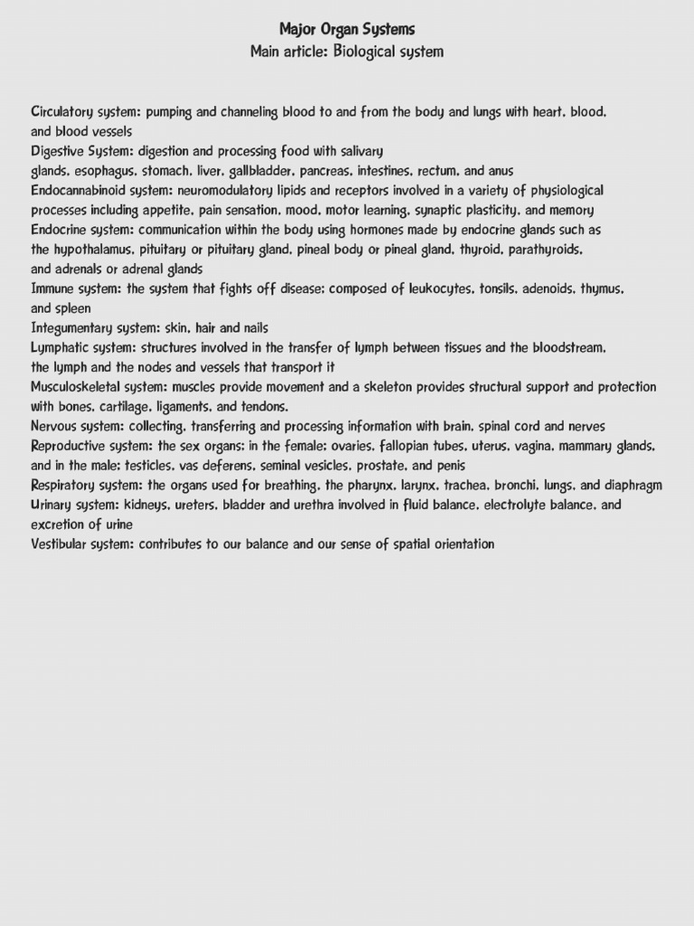 Major Organ Structure | PDF