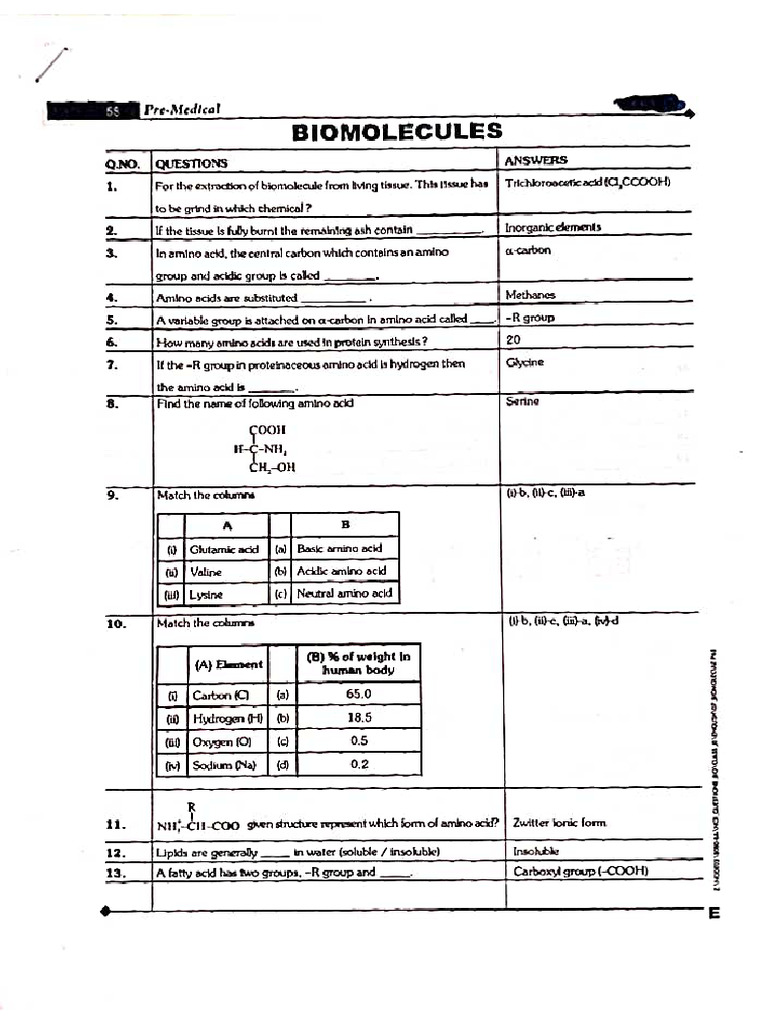 Biomolecules Fill Ups | PDF