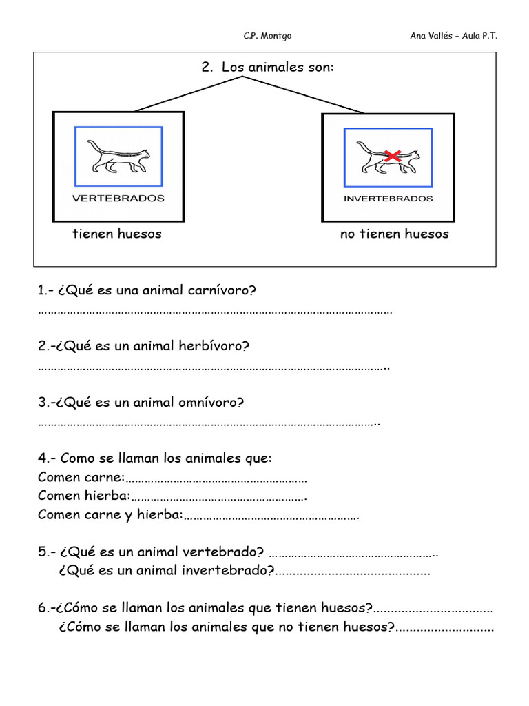 Tema 2 Los Animales 12 29 | PDF | Eucariotas | Organismos