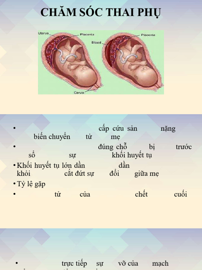 7. RAU BONG NON | PDF