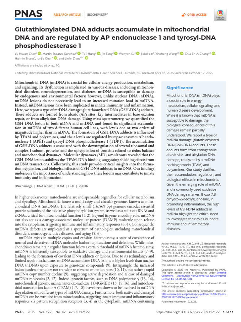 Chen Et Al 2025 Glutathionylated Dna Adducts Accumulate in ...