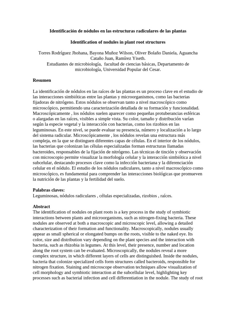 Identificación de nódulos radiculares en plantas | PDF | Raíz | Biología