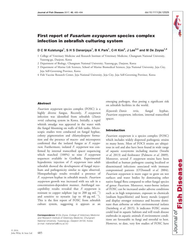Fusarium Oxysporum in Zebrafish | PDF | Fungus | Infection