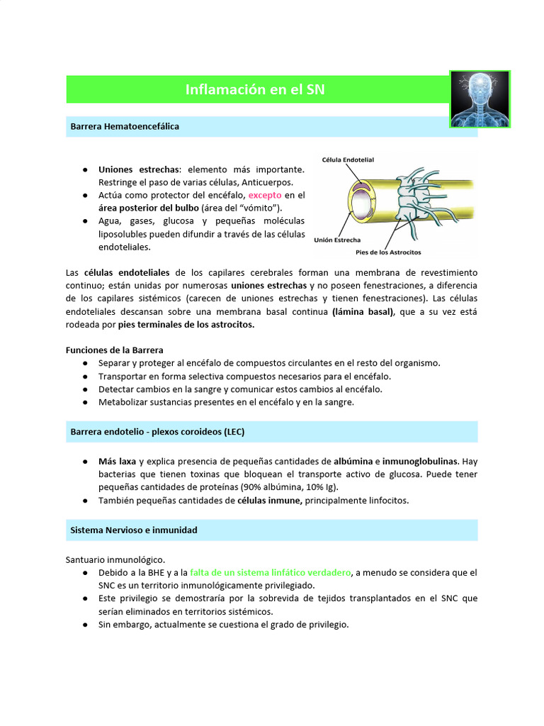Inflamación en el SN | PDF | Mielina | Inflamación
