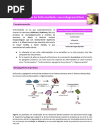 Rehabilitaci n en Fractura de Cadera.pdf PP CP GER | PDF