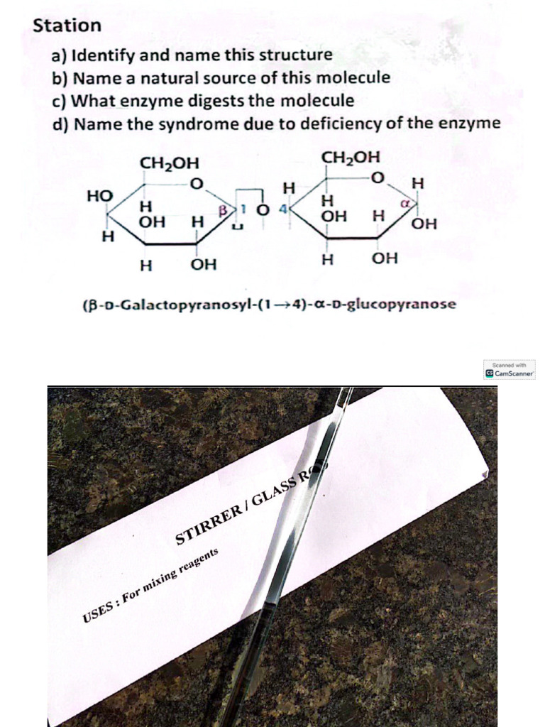 Biochem Spotters | PDF