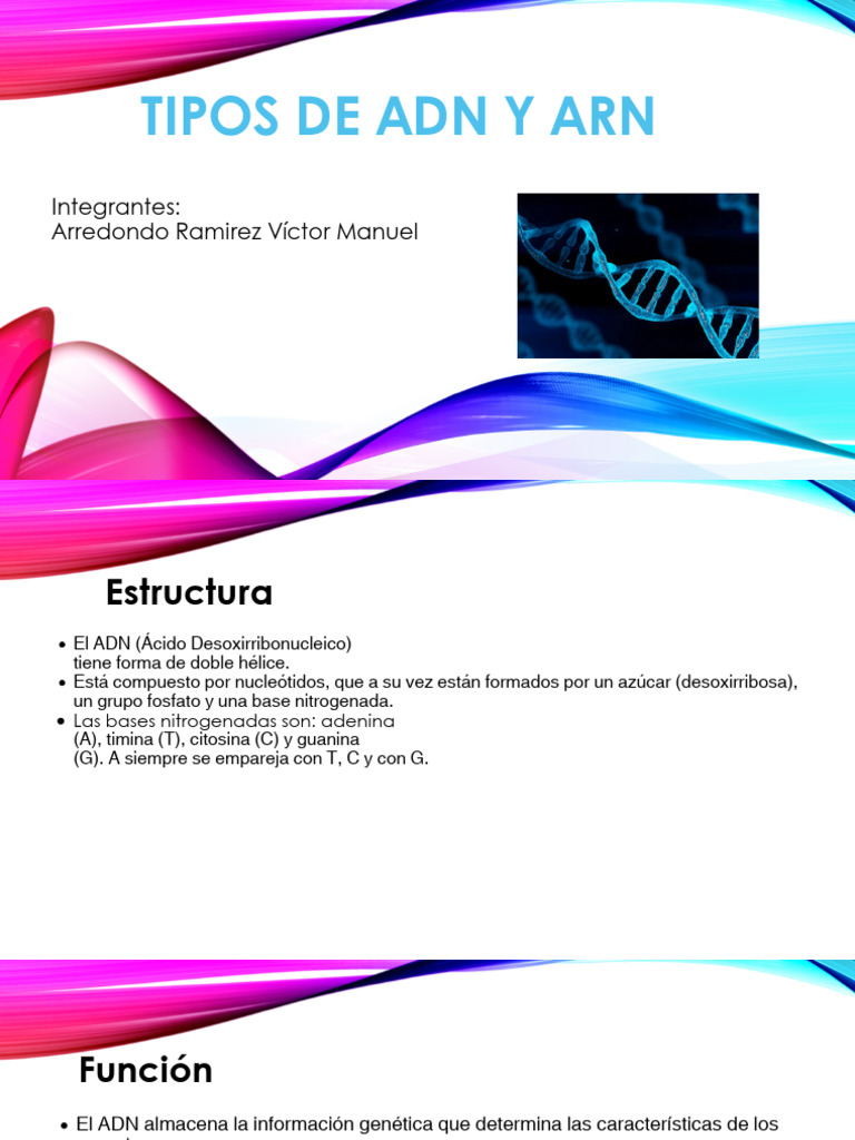 Tipos de ADN y ARN: Estructura y Función | PDF | Adn | Rna