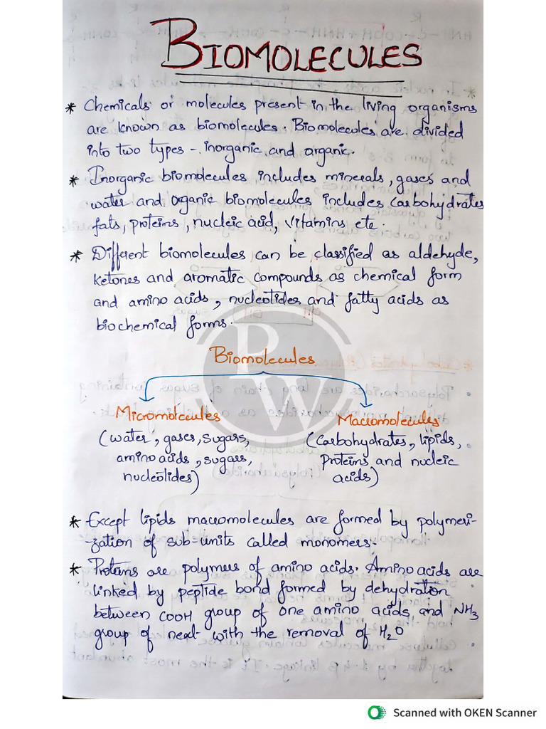 Biomolecules - Handwritten Notes | PDF