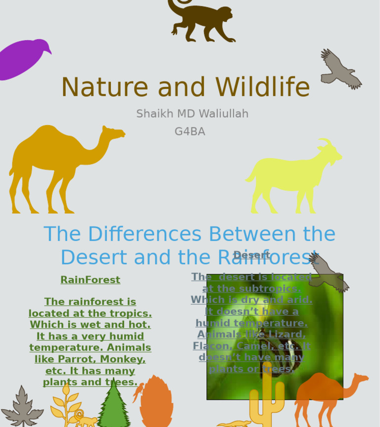Nature and Wildlife | PDF