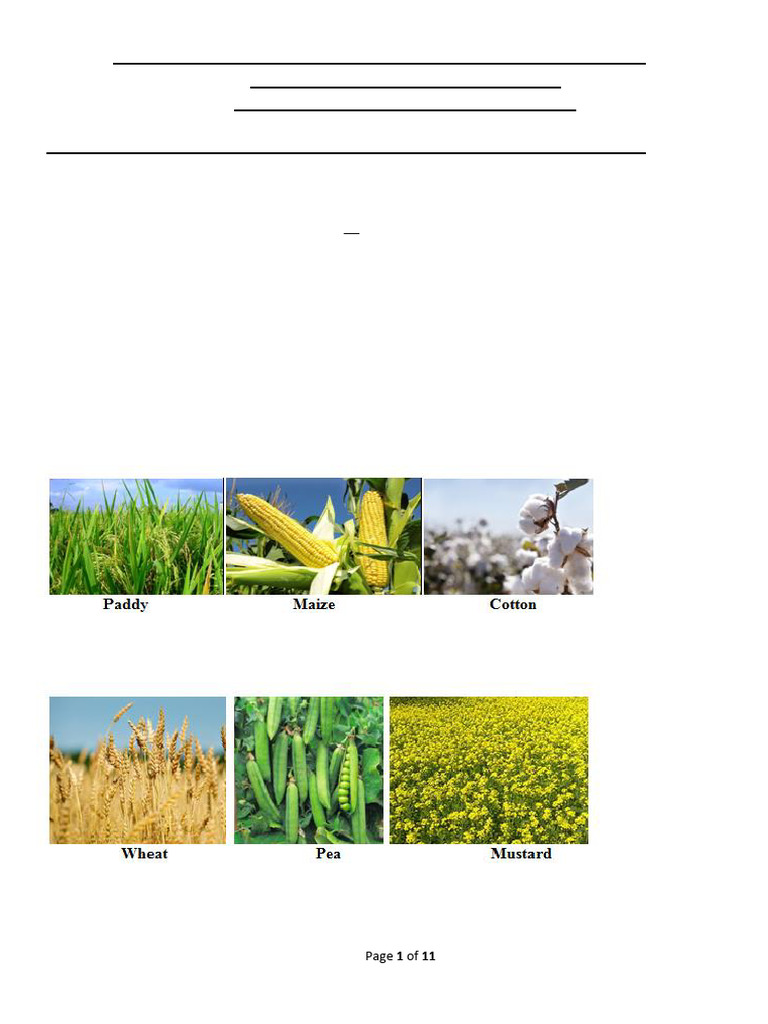 Crop Production & Management Guide | PDF | Fertilizer | Irrigation