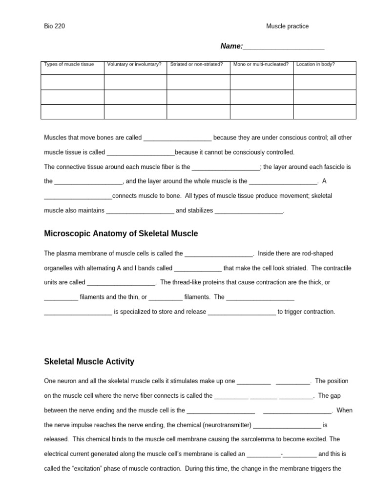 Muscle Practice Fill in The Blank | PDF | Muscle Contraction | Skeletal ...