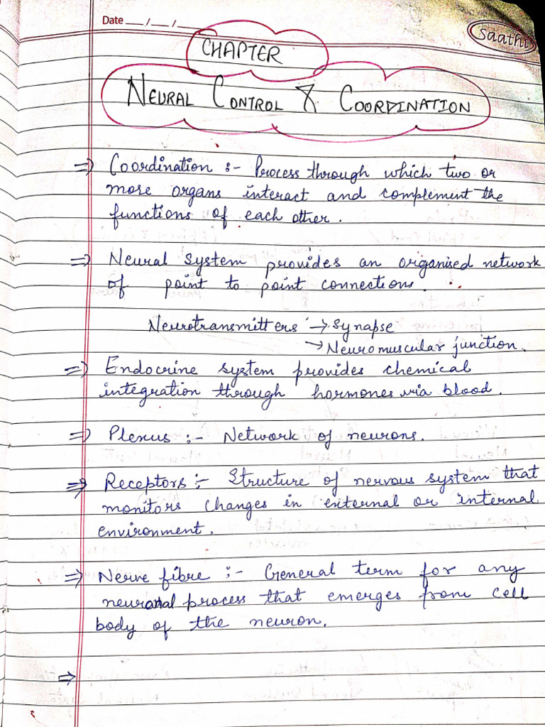 Neural Control and Coordination | PDF