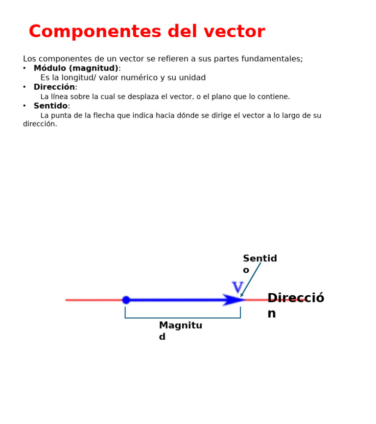 Componentes de un Vector: Módulo, Dirección y Sentido | PDF