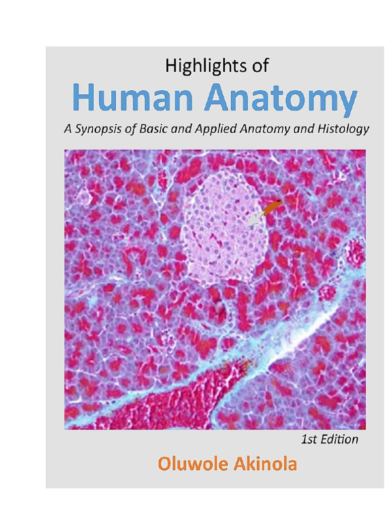 Highlights of Human Anatomy | PDF | Anatomy | Human Body