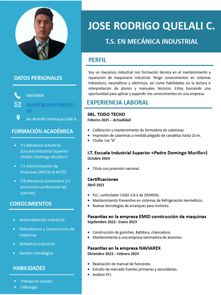 CV Jose Rodrigo | PDF