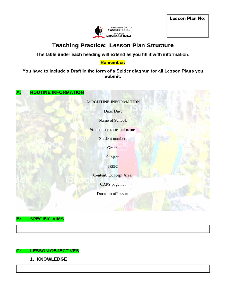 Lesson Plan Template 9 English Full Lesson Plan 1 Copy | PDF