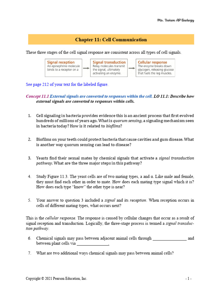AP Bio Cell Signaling and Communication Ch11 | PDF | Cell Signaling ...
