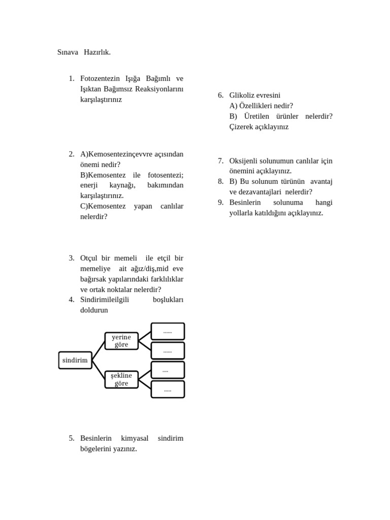 SINAVA HAZIRLIK | PDF