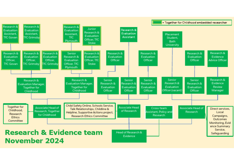Research and Evidence Team Structure - Nov 2024 | PDF | Childhood