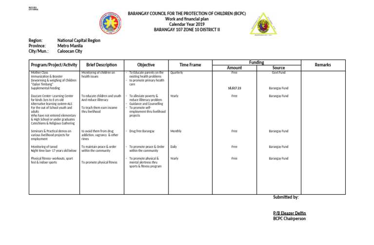 2019 BCPC Work & Financial Plan | PDF