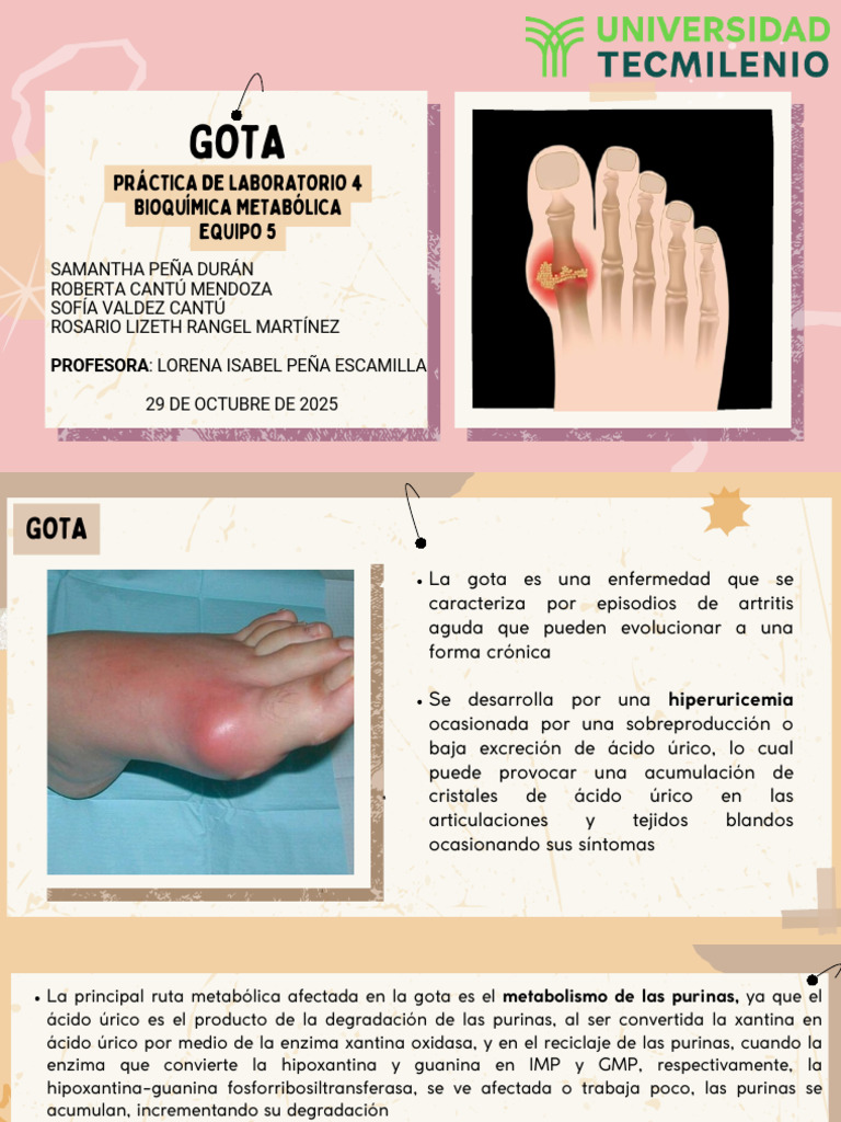 Gota: Causas, Síntomas y Tratamiento | PDF | Gota | Especialidades Medicas
