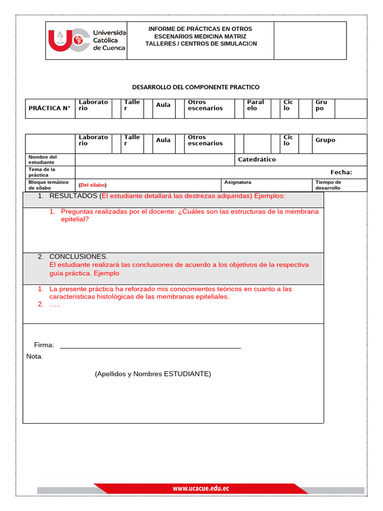 Modelo Informes de Practicas(2) 2 | PDF