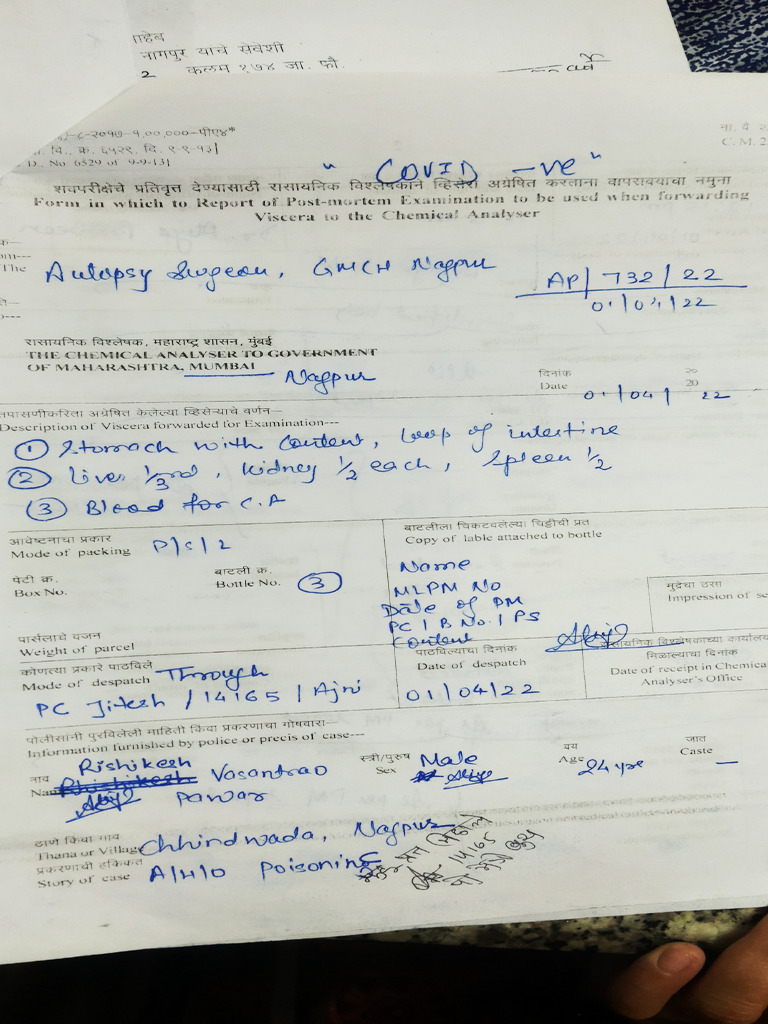 Visceraform Fmt | PDF
