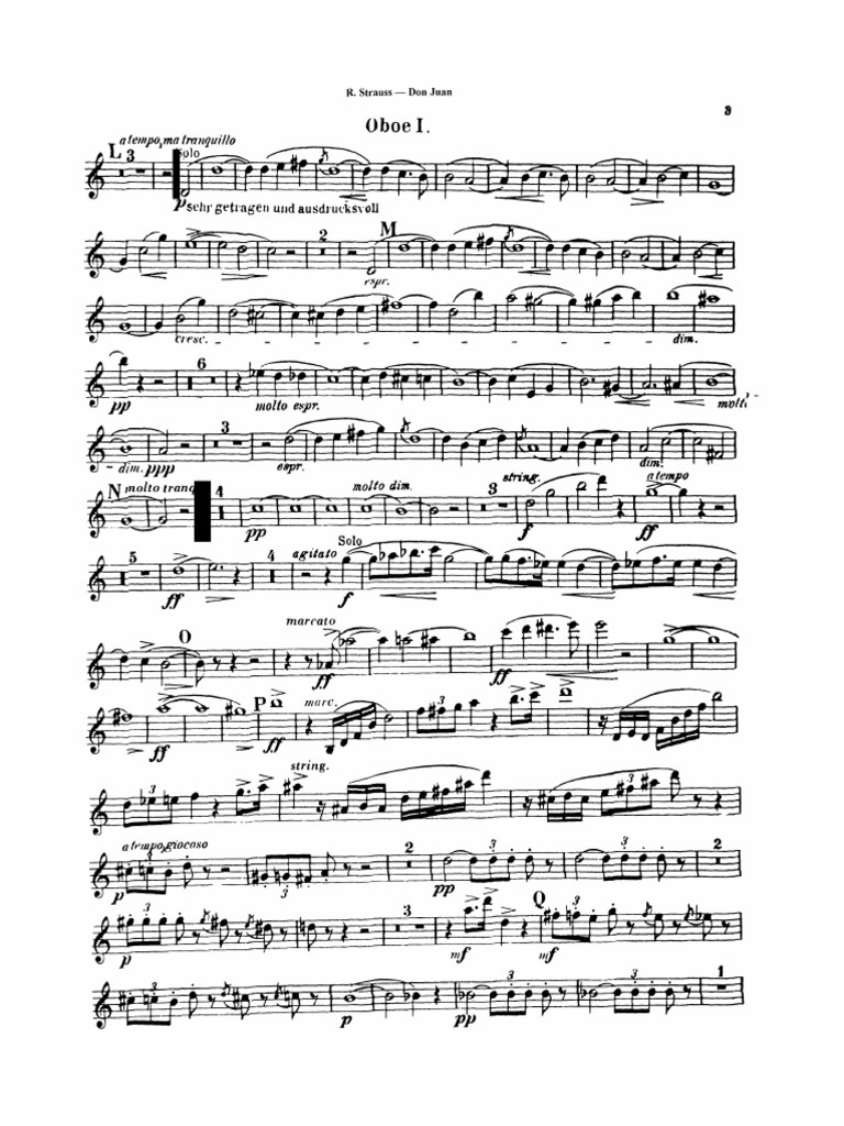 8.- R. Strauss - Don Juan, Op. 20 | PDF