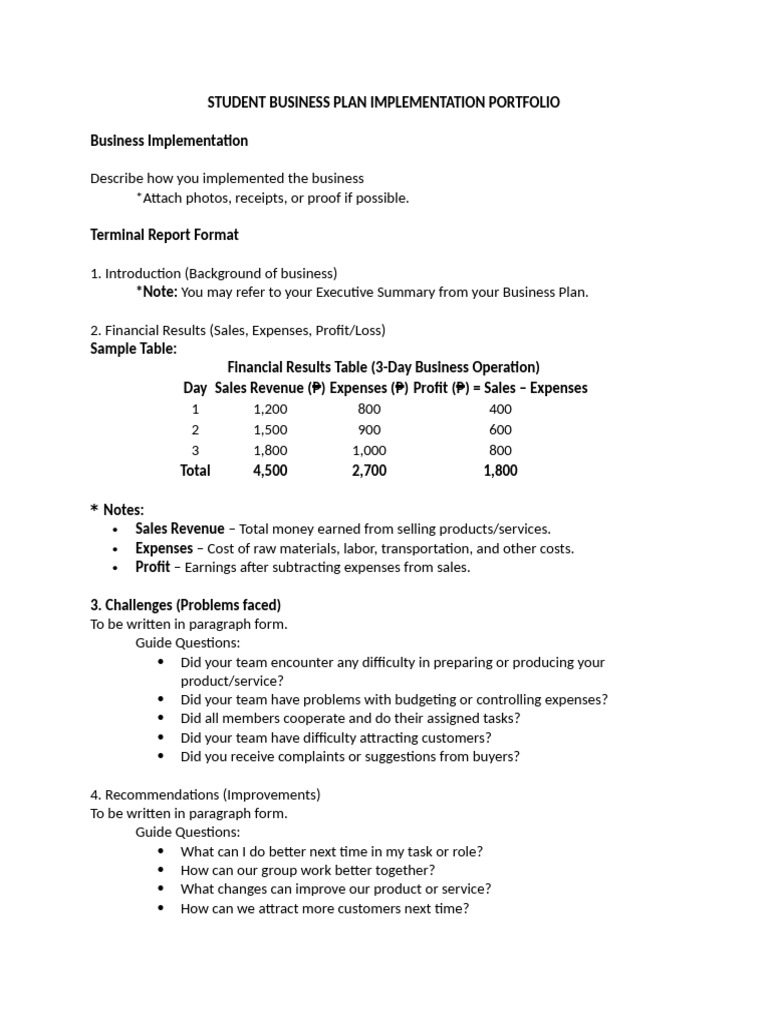 Student Business Plan Implementation Portfolio | PDF | Sales | Business