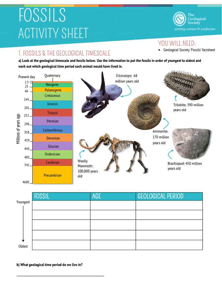 Fossils and Geological Time Periods Guide | PDF | Fossil | Geologic ...