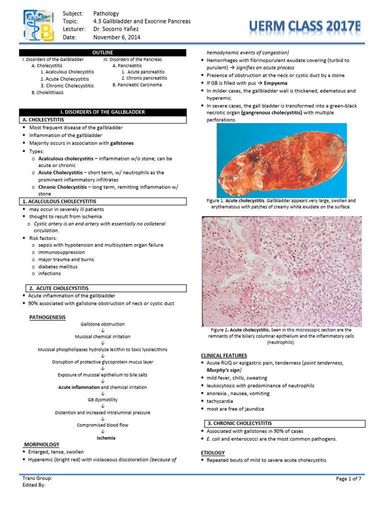 Gallbladder and Pancreas Disorders Overview | PDF | Pancreas | Gallbladder