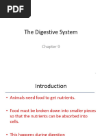 Printable Digestive System Cut-Outs | PDF