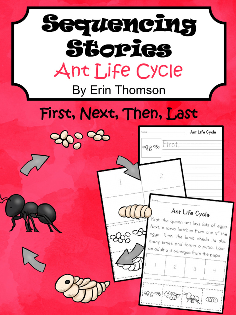 Ant Life Cycle Sequencing Activities | PDF | Pupa | Ant