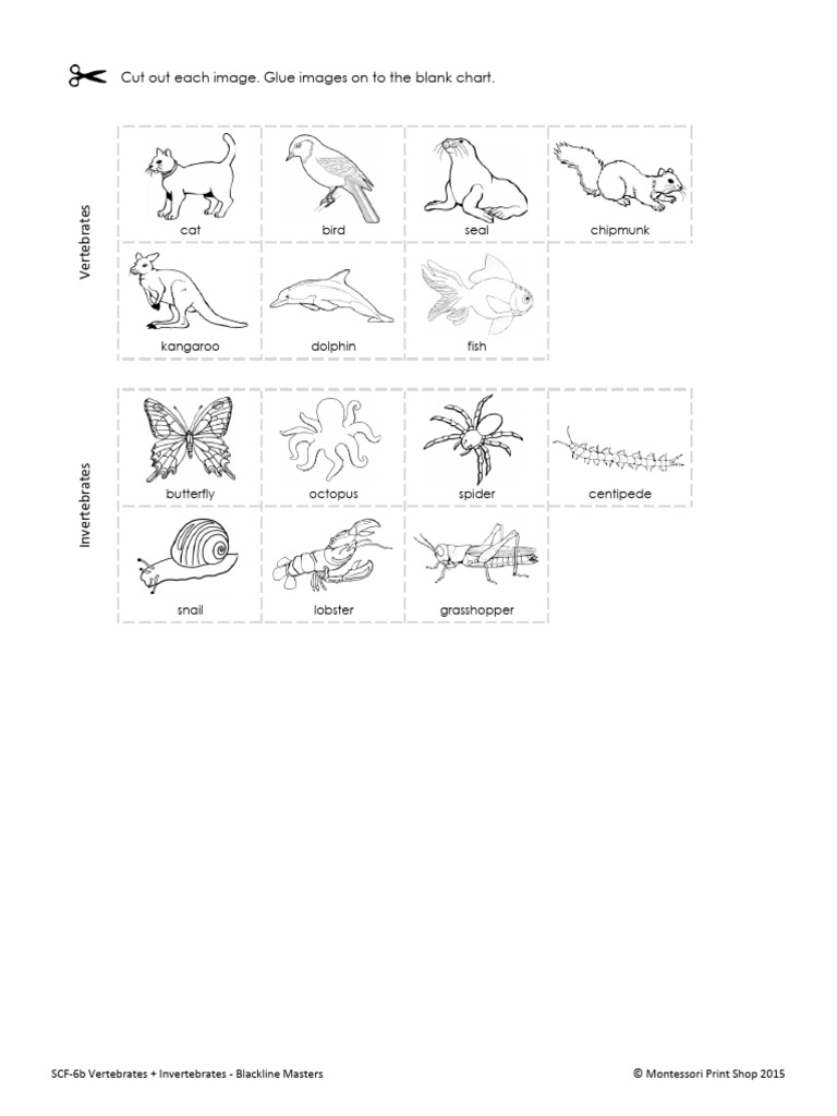 SCF-6b Vertebrates & Invertebrates - Blackline Masters | PDF