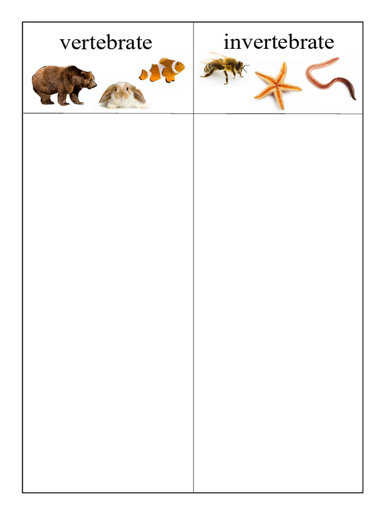 Vertebrate Invertebrate Classification | PDF