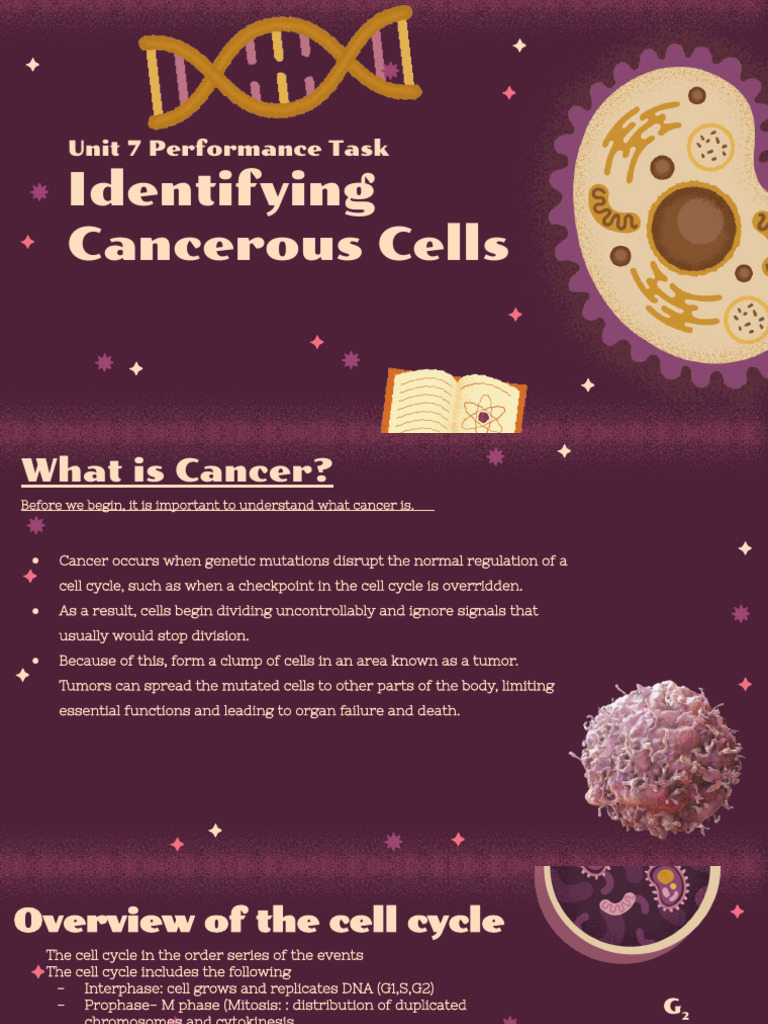 Identifying Cancerous Cells in Samples | PDF | Cell Cycle | Mitosis