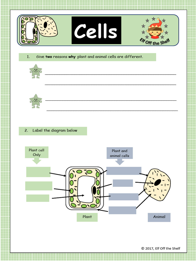 Cells Worksheet Preview 1 | PDF