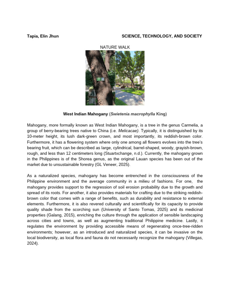 Nature Walk | PDF | Trees | Botany