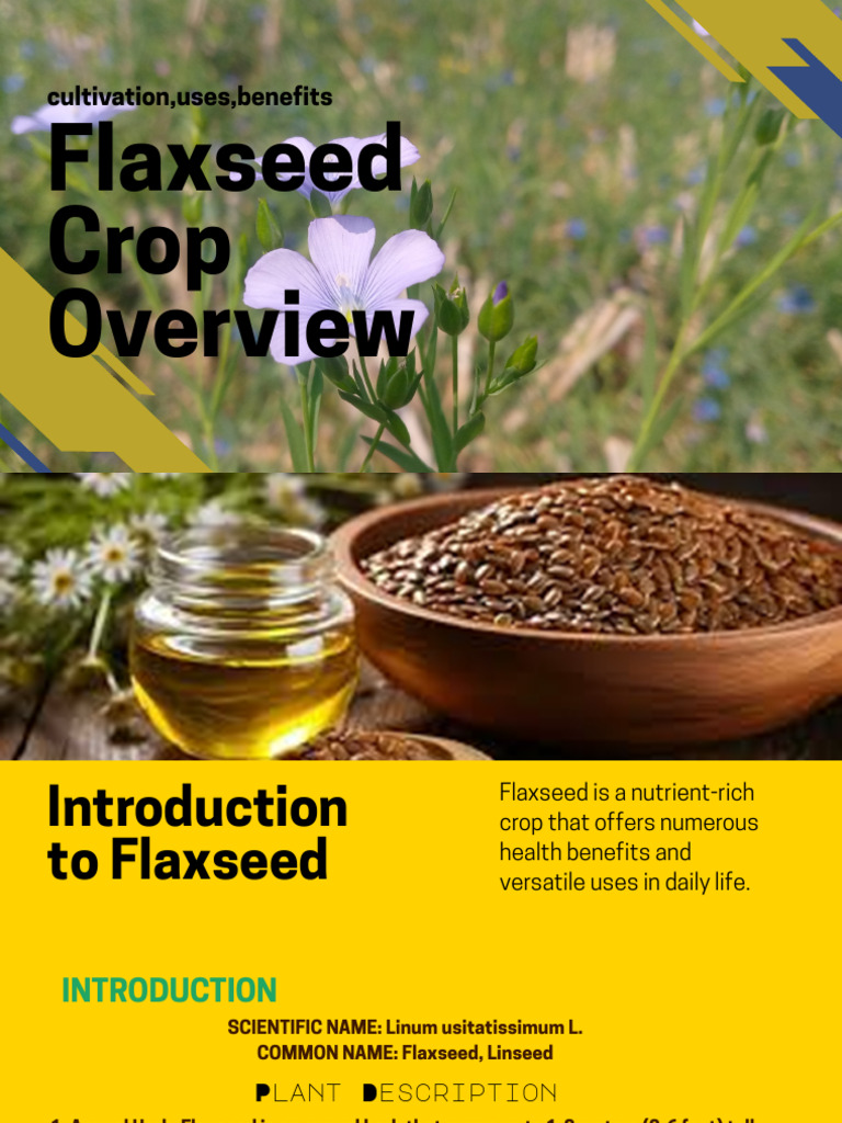 Flaxseed: Benefits, Uses, and Cultivation | PDF | Flax | Plants