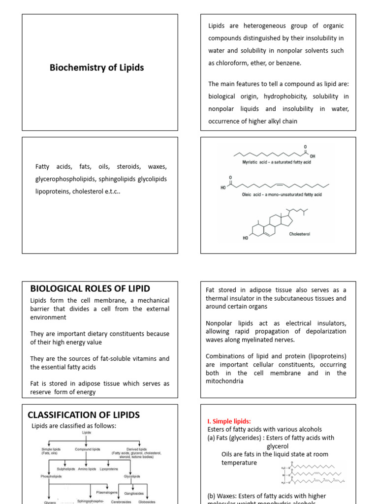 Understanding Lipids: Types and Functions | PDF | Lipid | Triglyceride